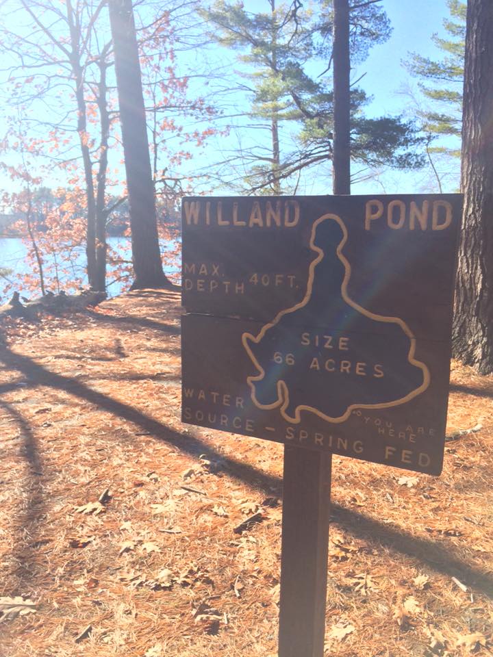 The Freelance Adventurer : Willand Pond Nature Walk