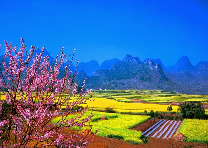 El Dandi del Congo: Habitantes de Luoping