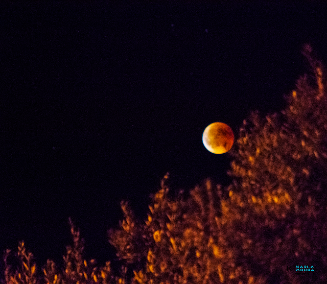 A mágica Lua Laranja - Mora Mundus