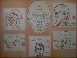 HongYi TCM Healthcare Pte Ltd: Meridian Facial Treatment