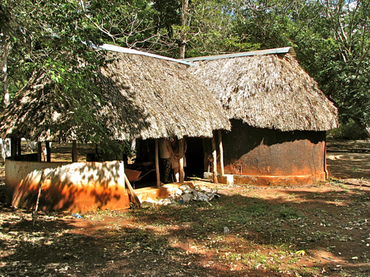 Jim & Carole's Mexico Adventure: NW Yucatan Part 24: The Maya household