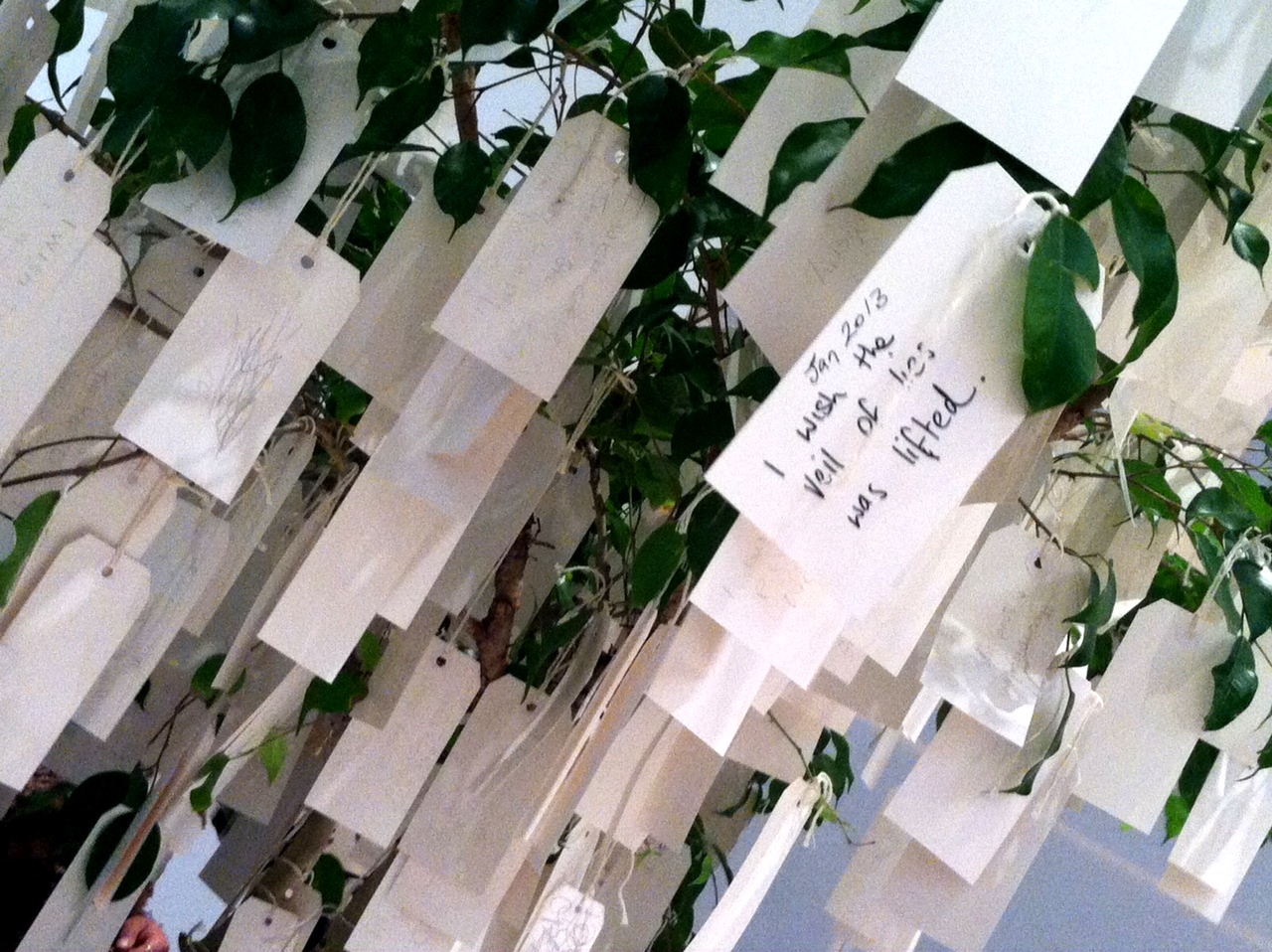 aes-tags: Yoko Ono's Wish Tree at the Brooklyn Museum