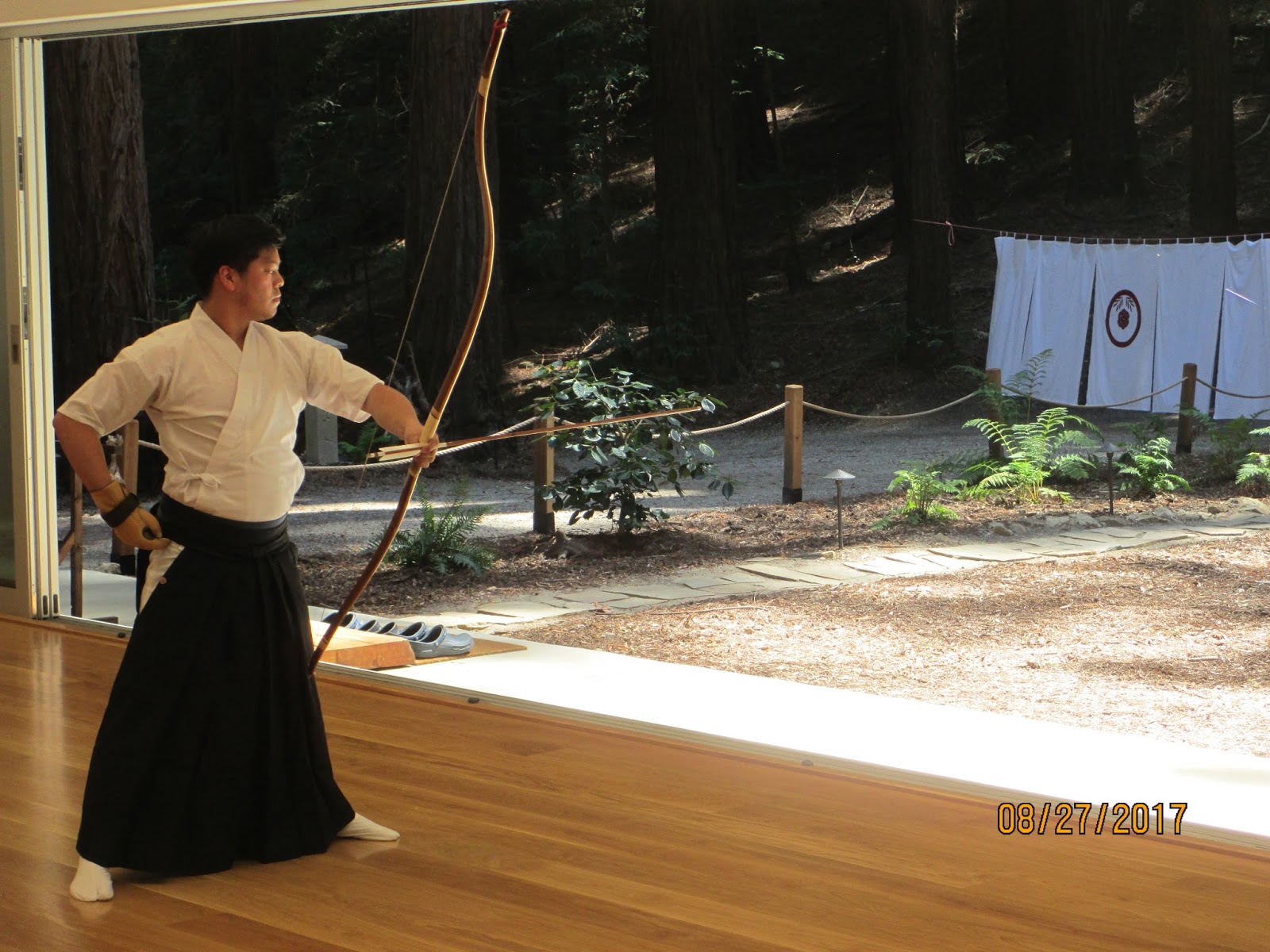 zen archery