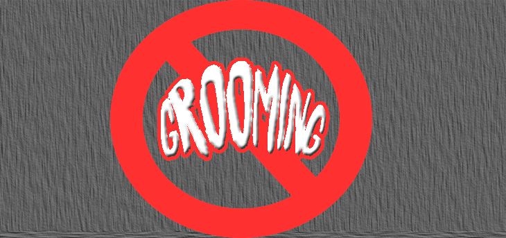 felixinformatica: El cyberbullying y el grooming