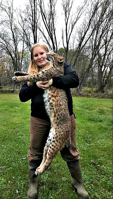 Skye Goode: My first HARVESTED Wisconsin Bobcat!