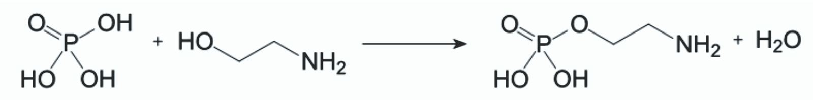 QUÍMICA PARA MEDICINA: Assunto: FOSFOETANOLAMINA “A pílula do câncer ...