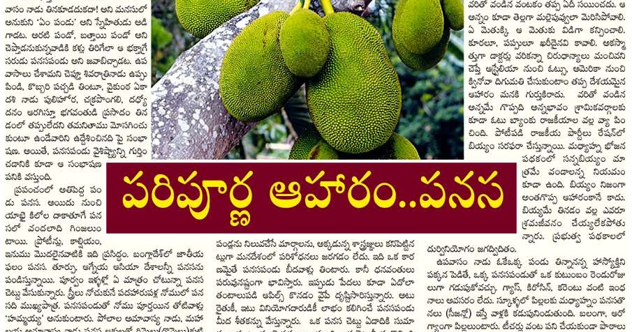 TELUGU WEB WORLD: THE COMPLETE FOOD SOLUTION - PANASA PANDU - THE JACK ...