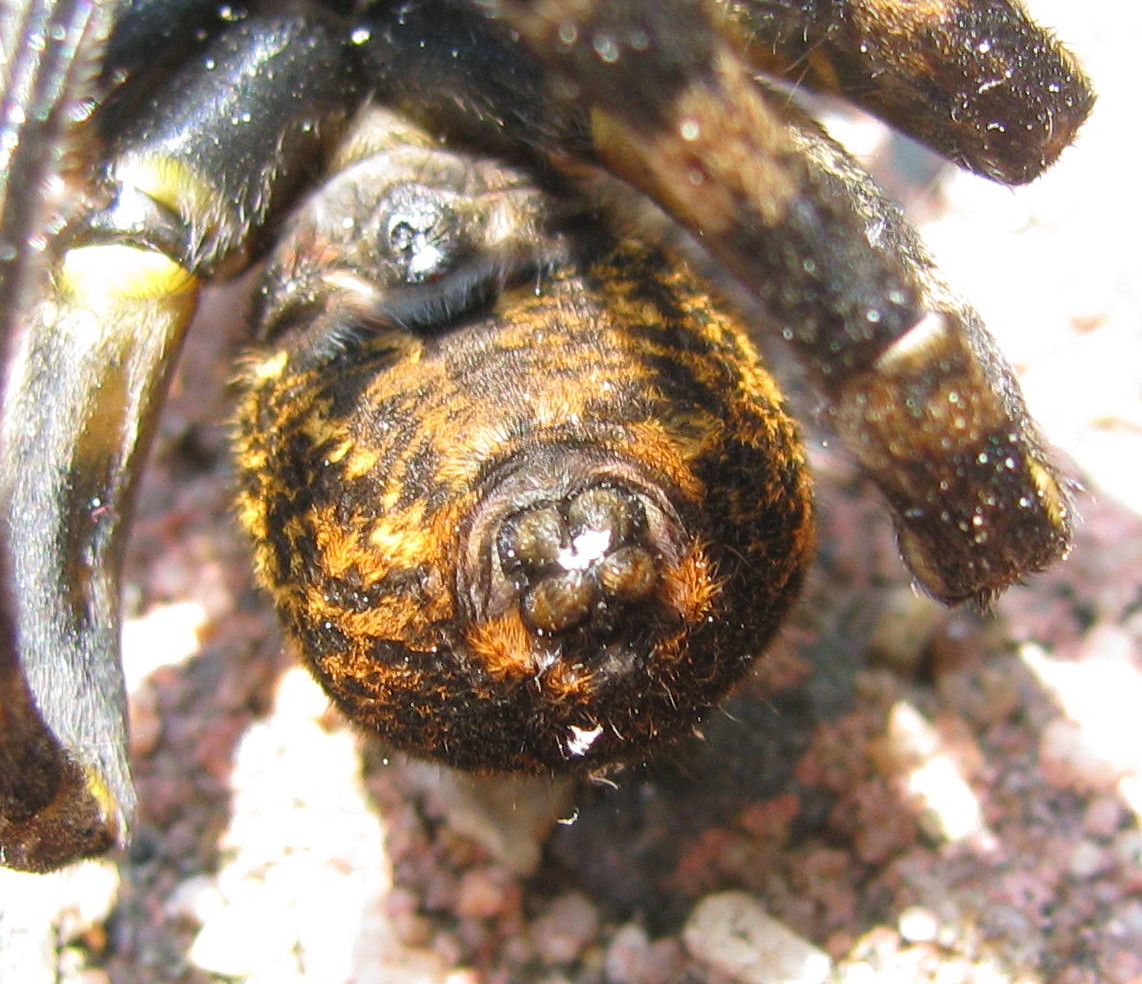 Hermit Musings: August 2013