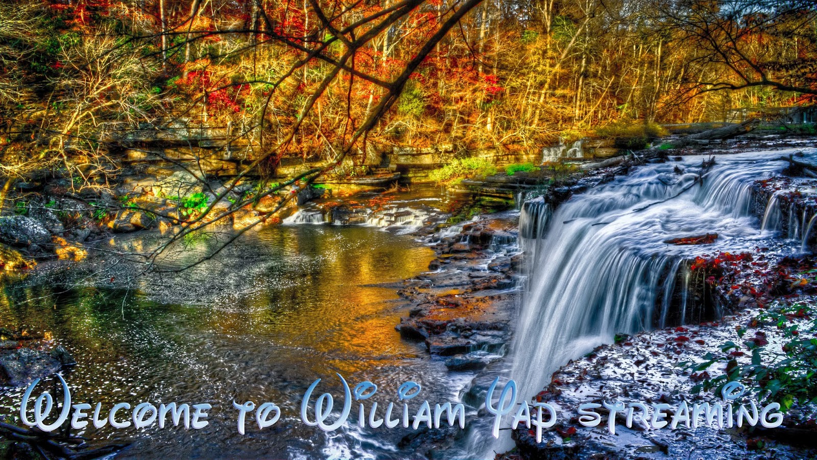 Wlmyaps dynamic html