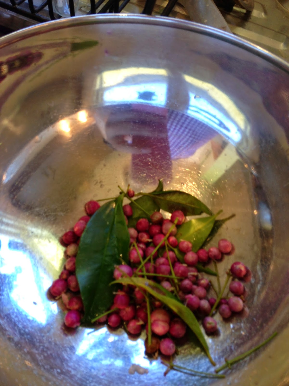 Pickled Tink: Lilly Pilly Jam