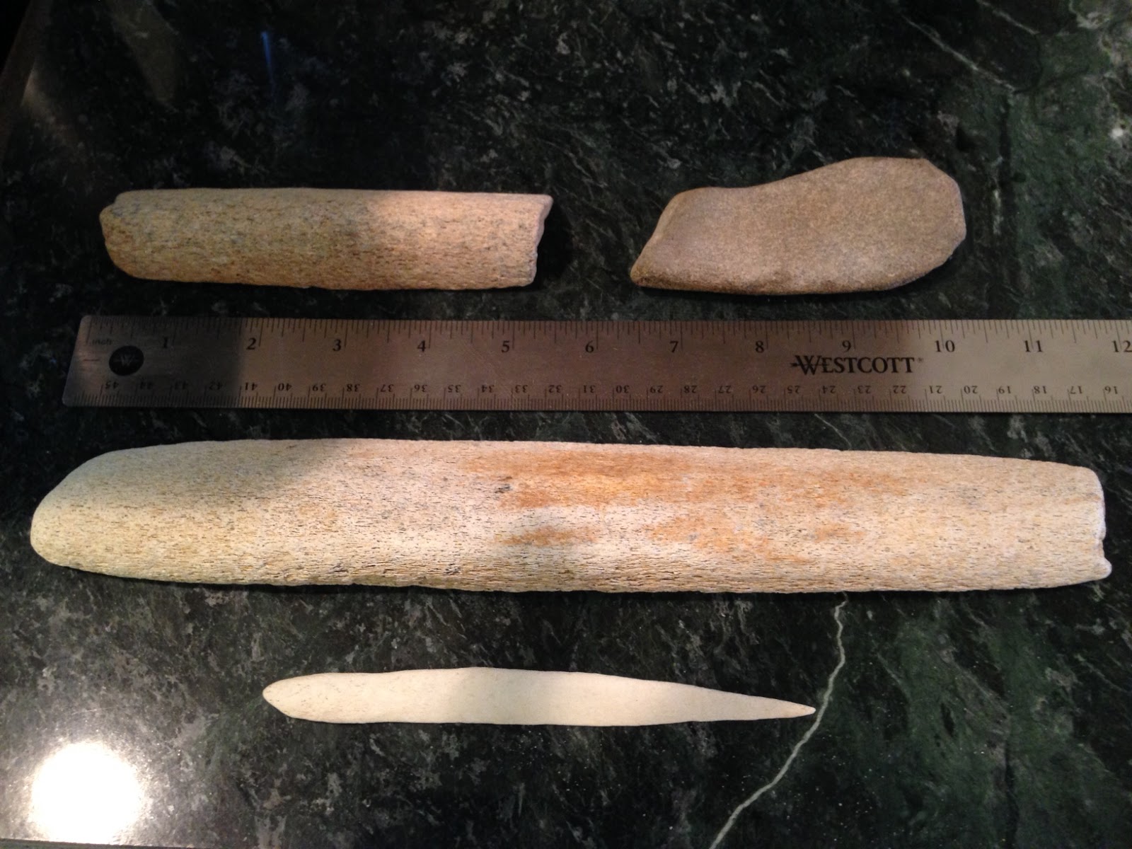 Ocracoke Island Journal: Whalebone?