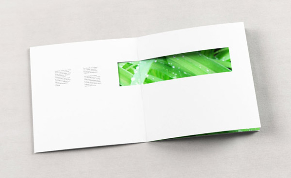 Design Context: Leaflet/booklet inspiration