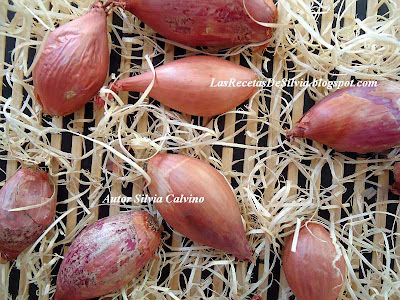 Las recetas de Silvia: Que son los echalotes