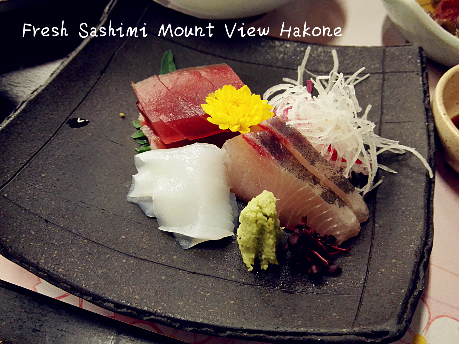 Almost Hungry?: Japan Honeymoon: Day 2 - Hakone (Part 2)