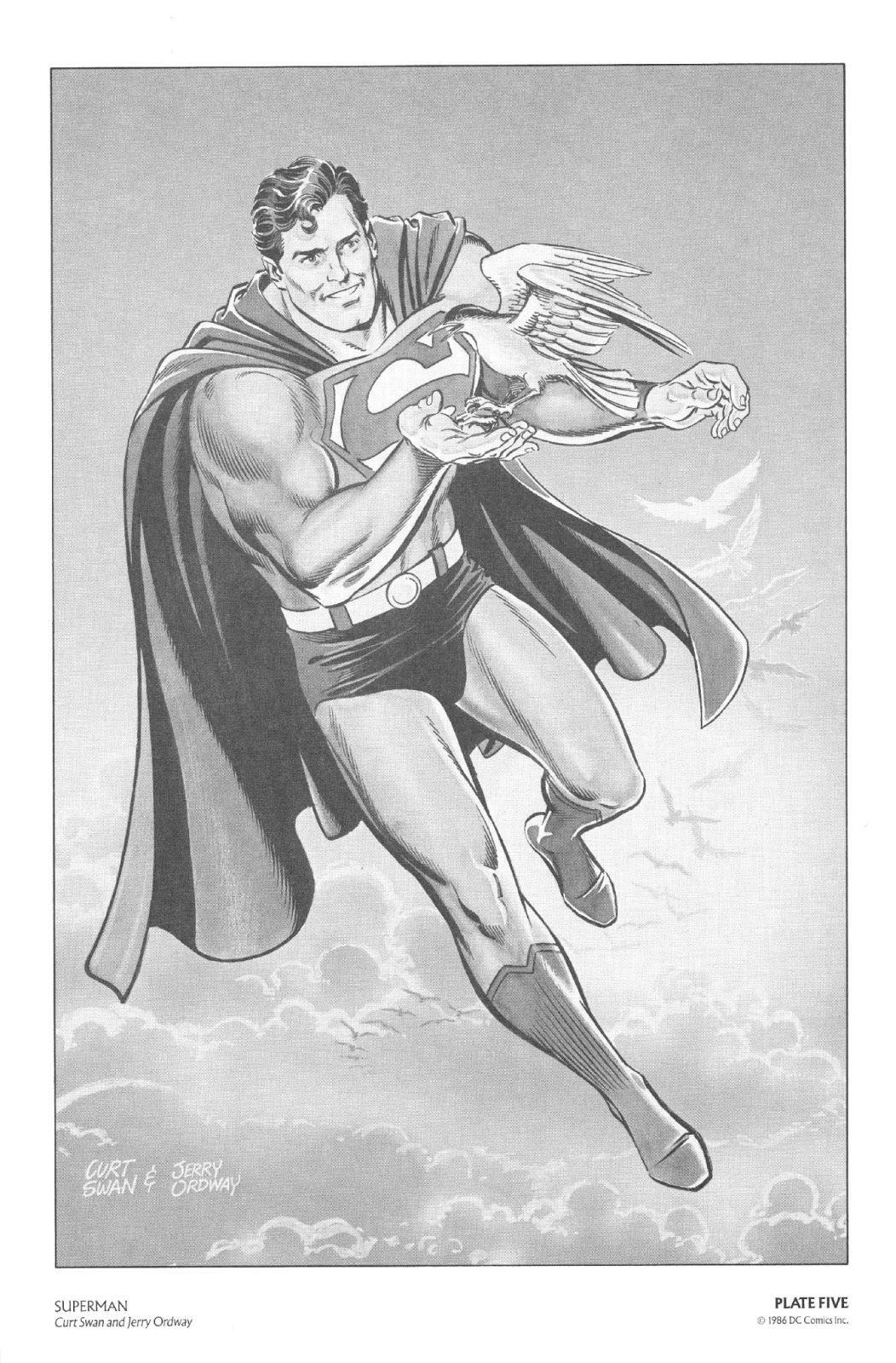 DC Comics of the 1980s: 1986 - History of the DC Universe Portfolio