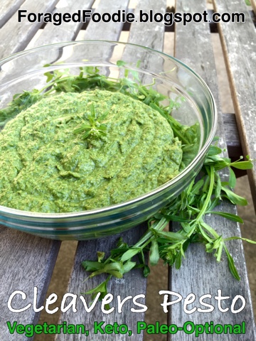 The Foraged Foodie: Vegetarian garlicky cleavers walnut pesto. Keto ...