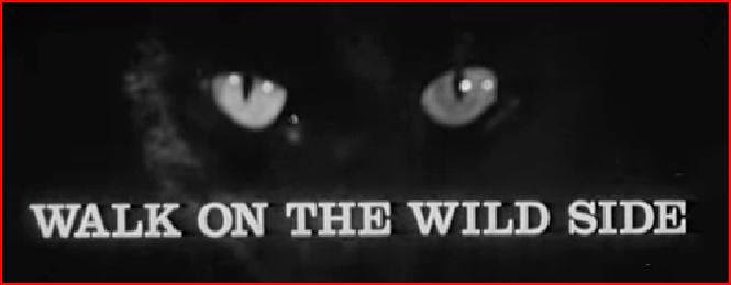 Random Musings: Classic Credits: "Walk on the Wild Side" (1962)