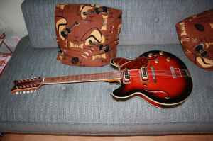 Craigslist Vintage Guitar Hunt: Conrad Electric 12 string in LA area ...