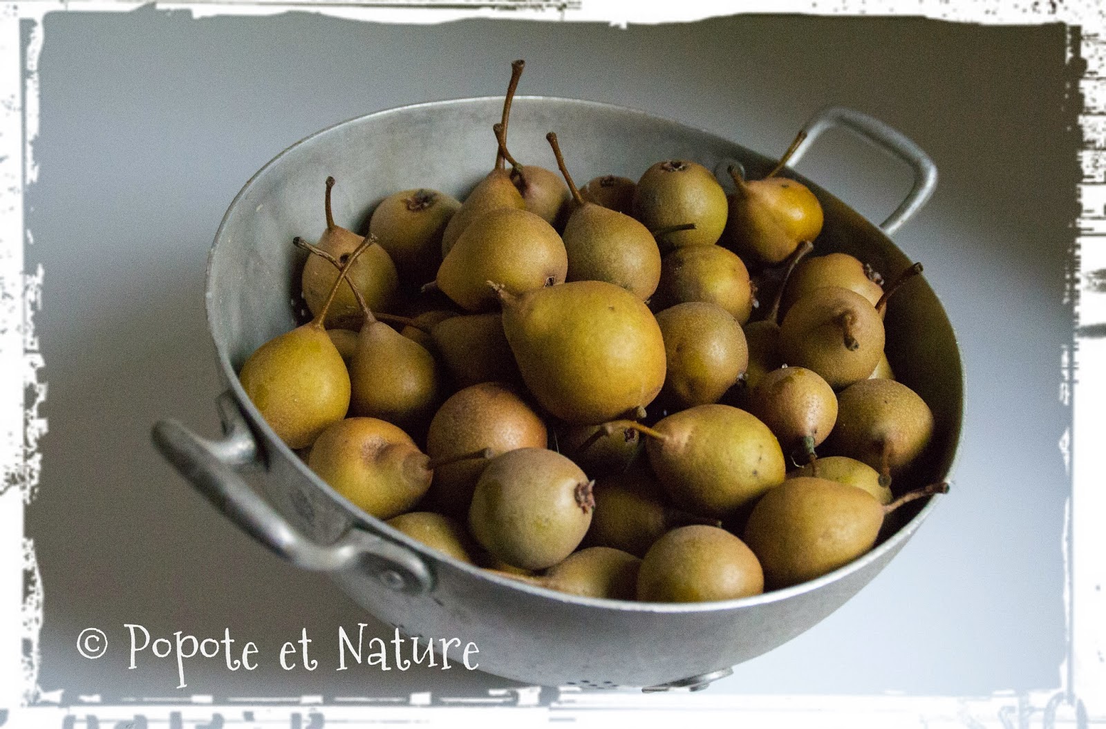 Popote et Nature: Cuisinons les bontés de Dame Nature