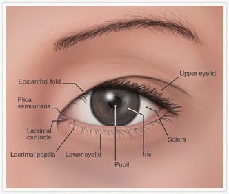 Dr. Alice Goh: Doctor, I want a double eyelid but do I need an ...