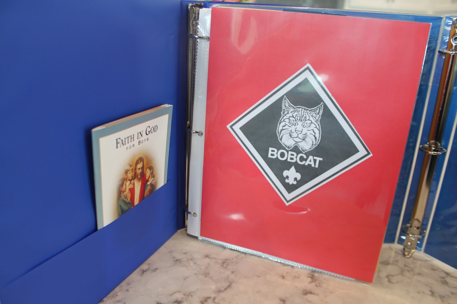 Cub Scouts: Trail to Arrow of Light / Cub scout binder