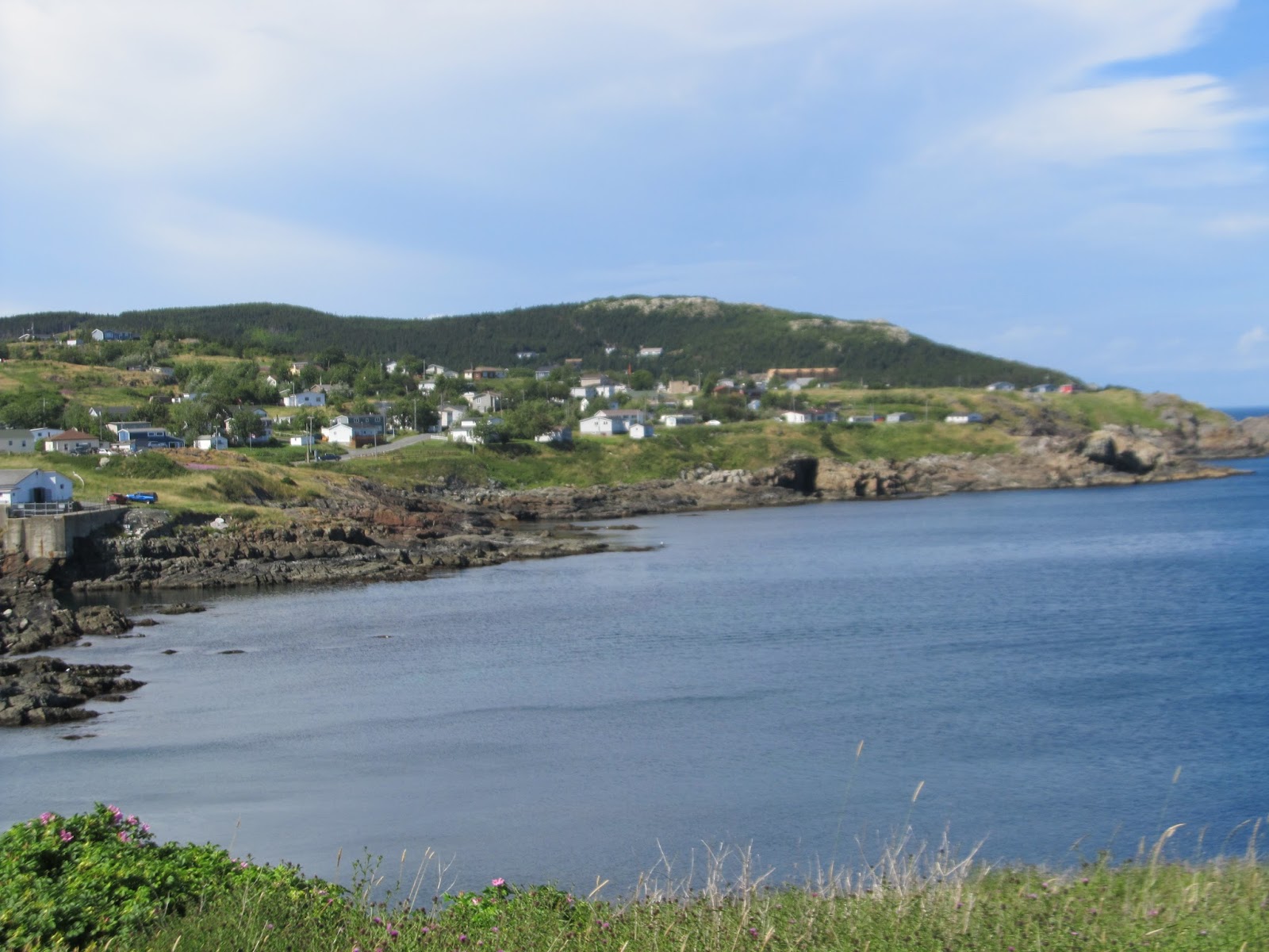 Rosemary's 2013 Road Trip: Day 69 Visit St. John’s NL & Killick Coast