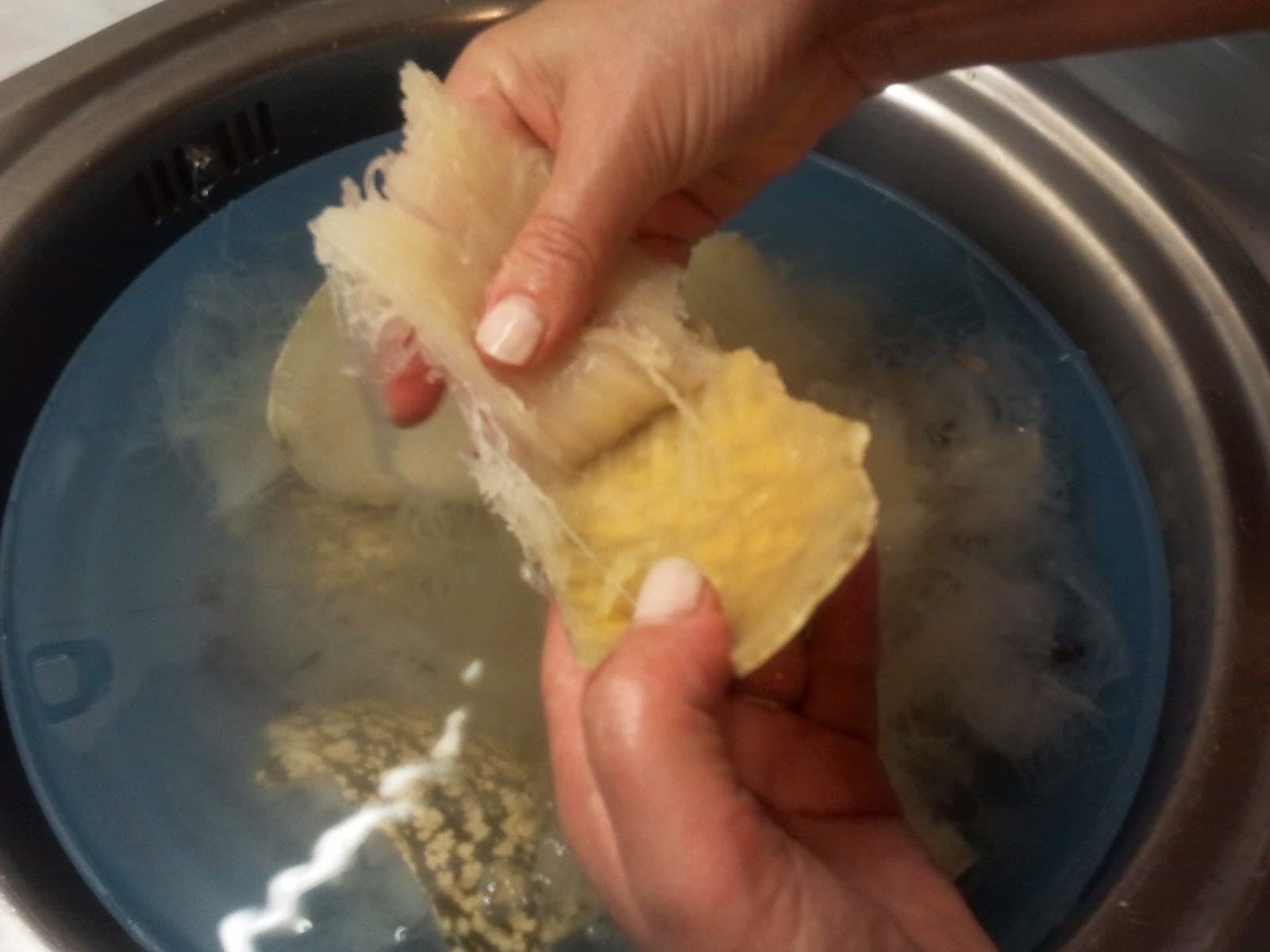 Como Pão Para Laranjas: Doce de Abóbora Gila (ou Chila)