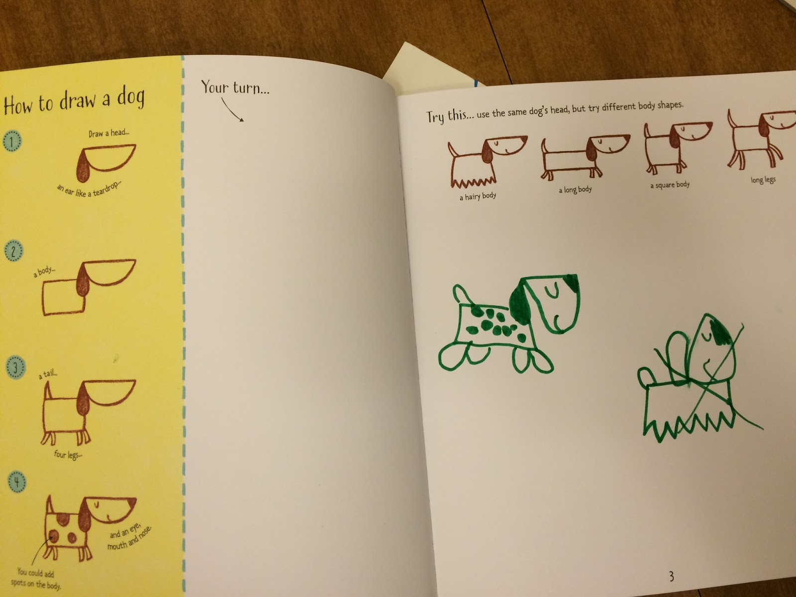 The Lion is a Bookworm: Usborne Review: Step-by-Step Drawing Book