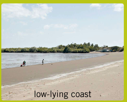 Mi primer año en Red XXI: The coast (Unit 8 - Science Y5)