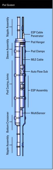 Electric Submersible Pumps: Advanced Lift Systems : Pod Systems