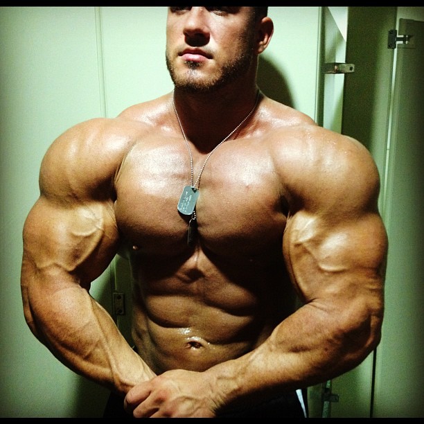 Roided Muscle Bodybuilders