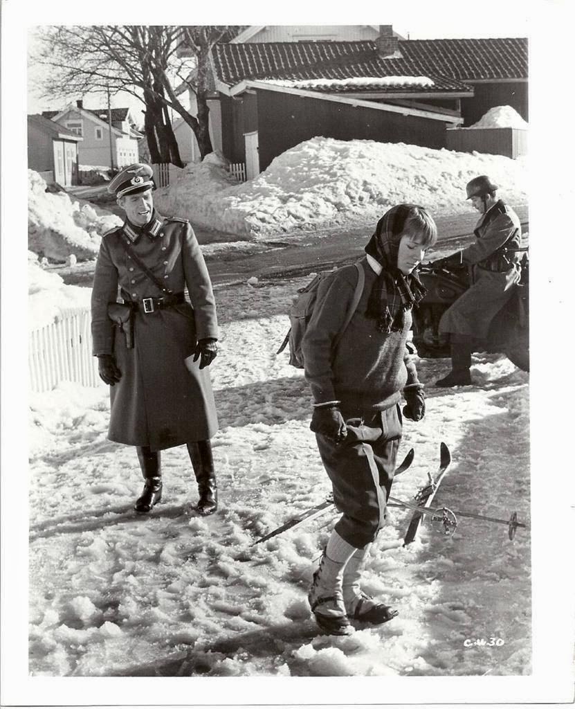 James Franciscus: Snow Treasure (1968)