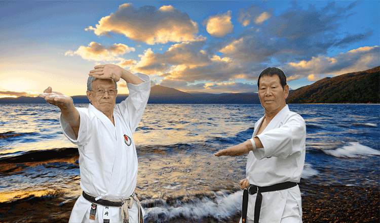 ISKF URUGUAY ALUMNOS: Sensei NAKAYAMA(1913-1987), Sensei NISHIYAMA(1928 ...