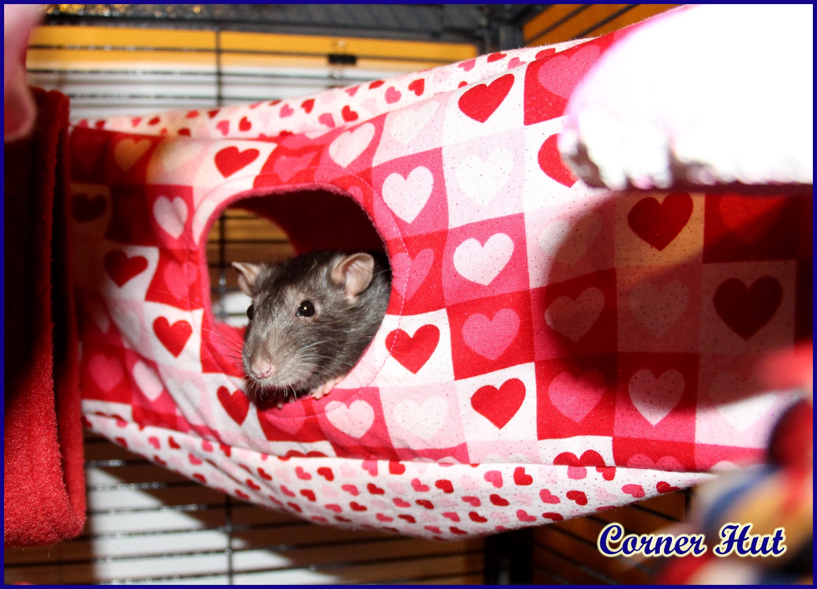 Ratropolis Updated Tutorials For Common Rat Hammocks And Accessories
