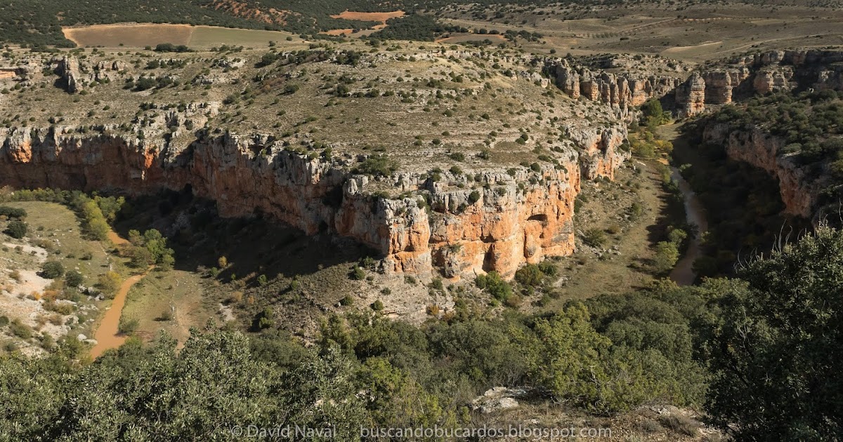 Urbes y caminos: Hoces del Río Piedra
