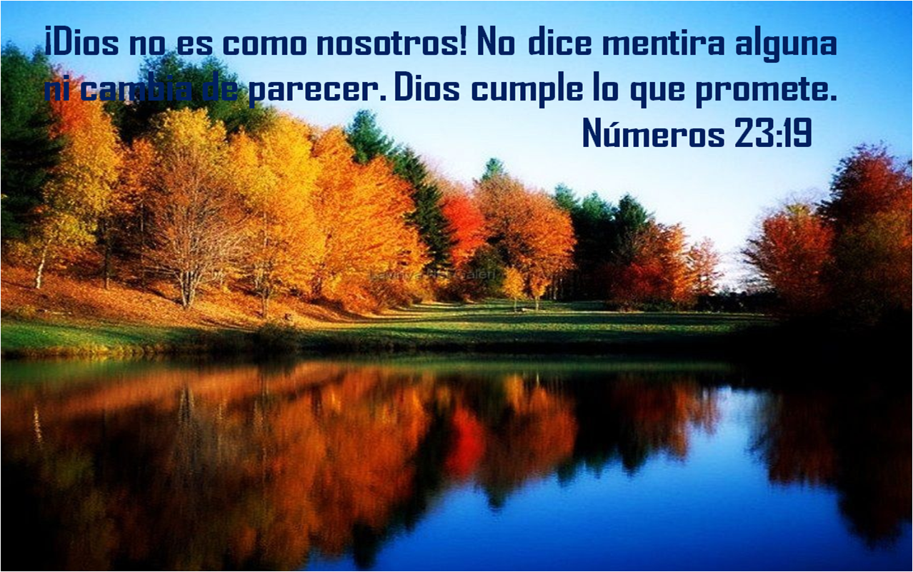 Palabra de Dios: Dios cumple lo que promete