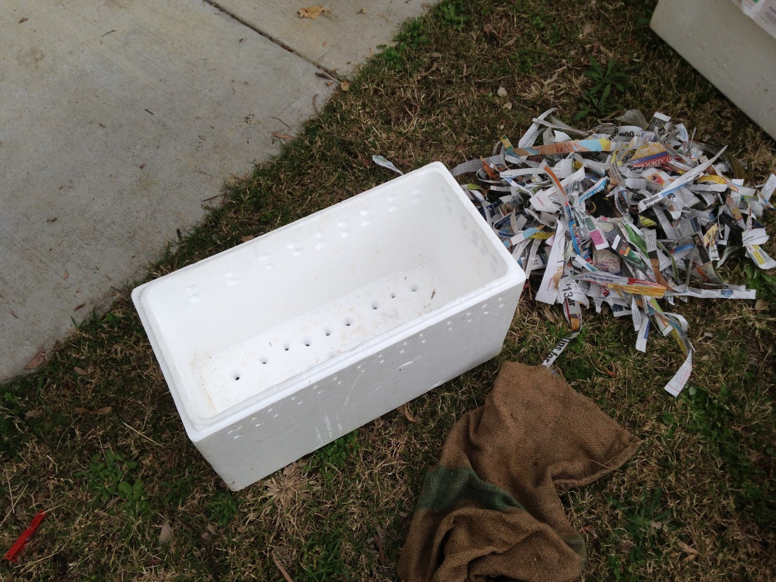 This Small Town Life: Making a Worm Farm