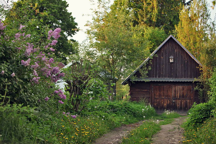Podlasie – White Plate