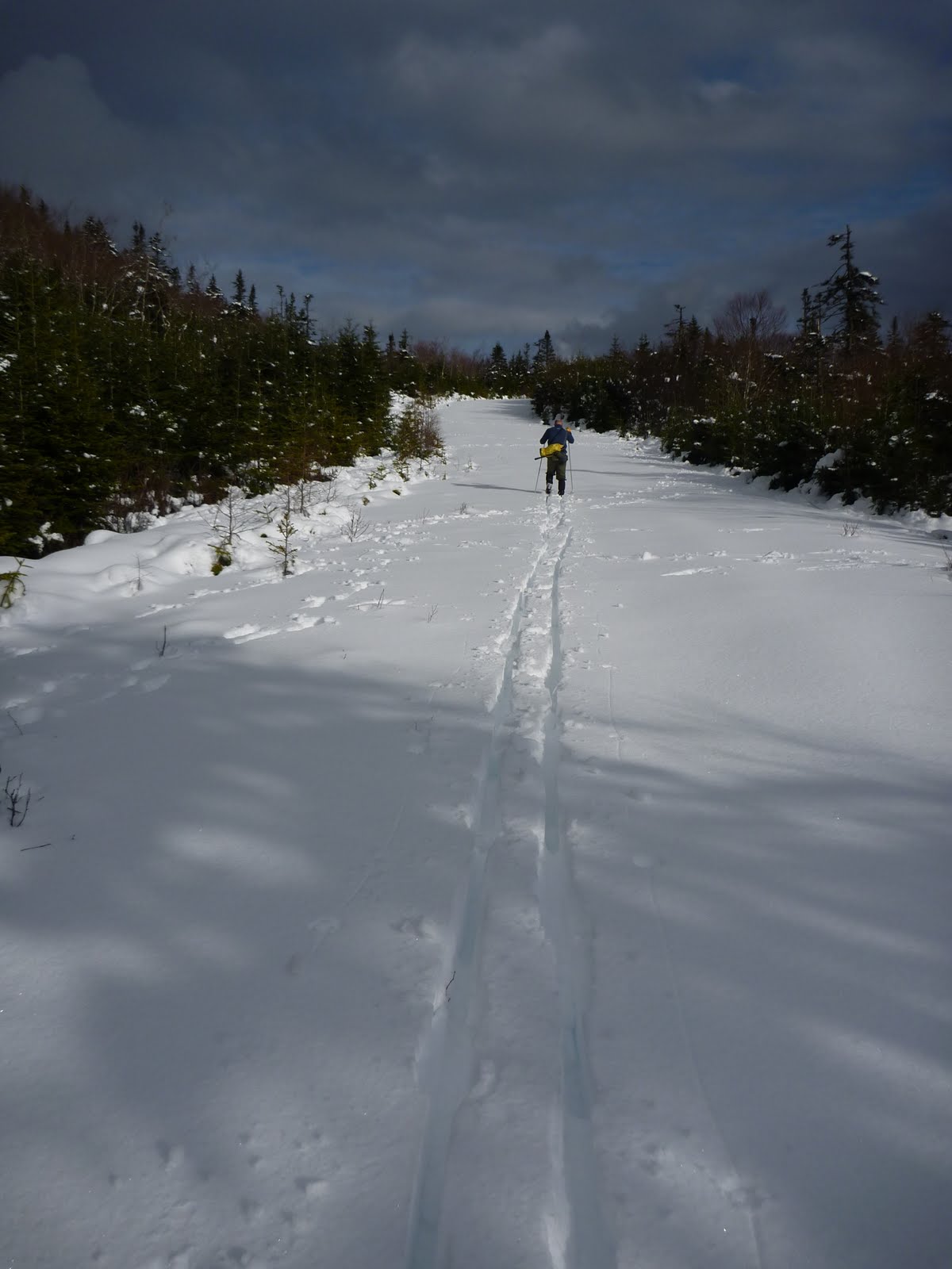 Newfoundland Sea Kayaking: The Non-Paddler