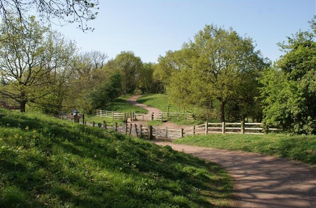 Porsche-noir: Alsager to Mowcop.