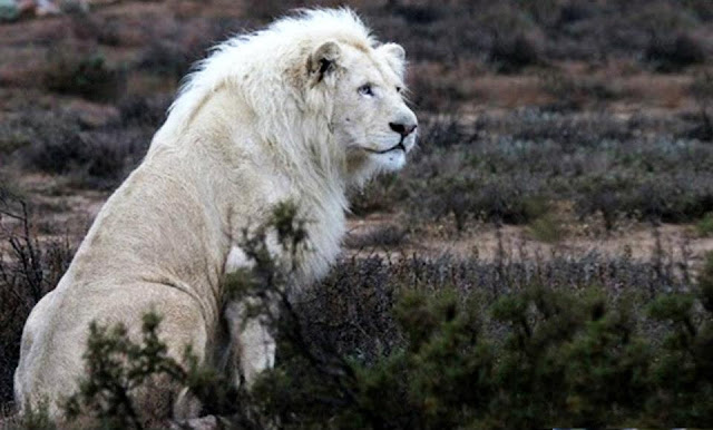 Natureza, Perfeição sem tamanho...