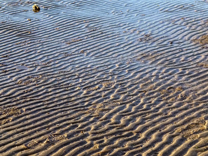 magsramsay: Sand Ripples