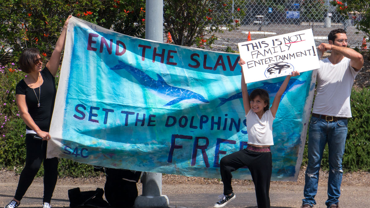 Eye Paint Art: Anti-SeaWorld Protests Gain Momentum