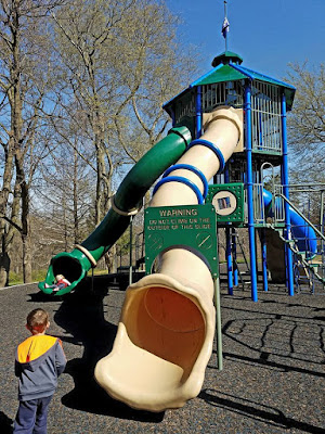 Play St. Louis: Bee Tree Park, Oakville