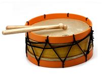 Diferencias y semejanzas entre la región Amazónica y la región Insular