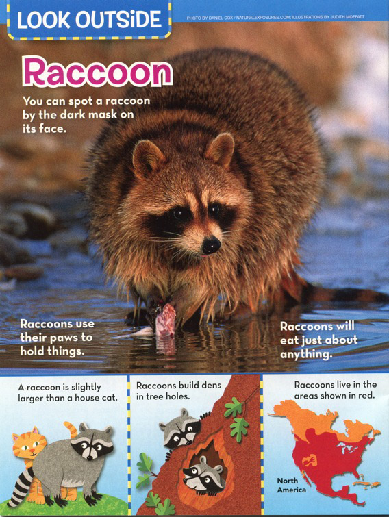 Ms. Moffatt: A NEW Magazine in town! Ranger Rick Jr.