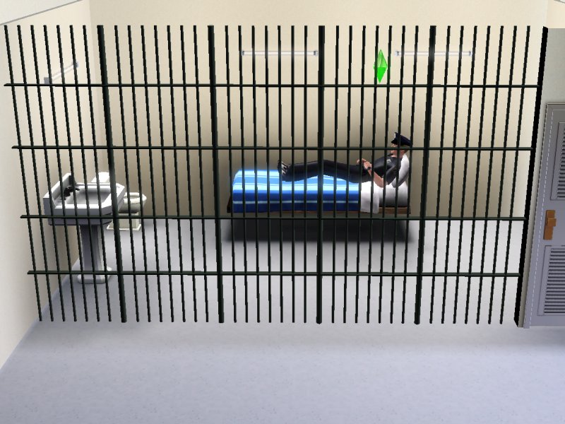Simming in Magnificent Style: Prison bars
