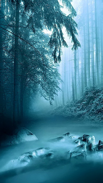 The Zedge: Beautiful Nature Wallpaper For Mobile 360X640