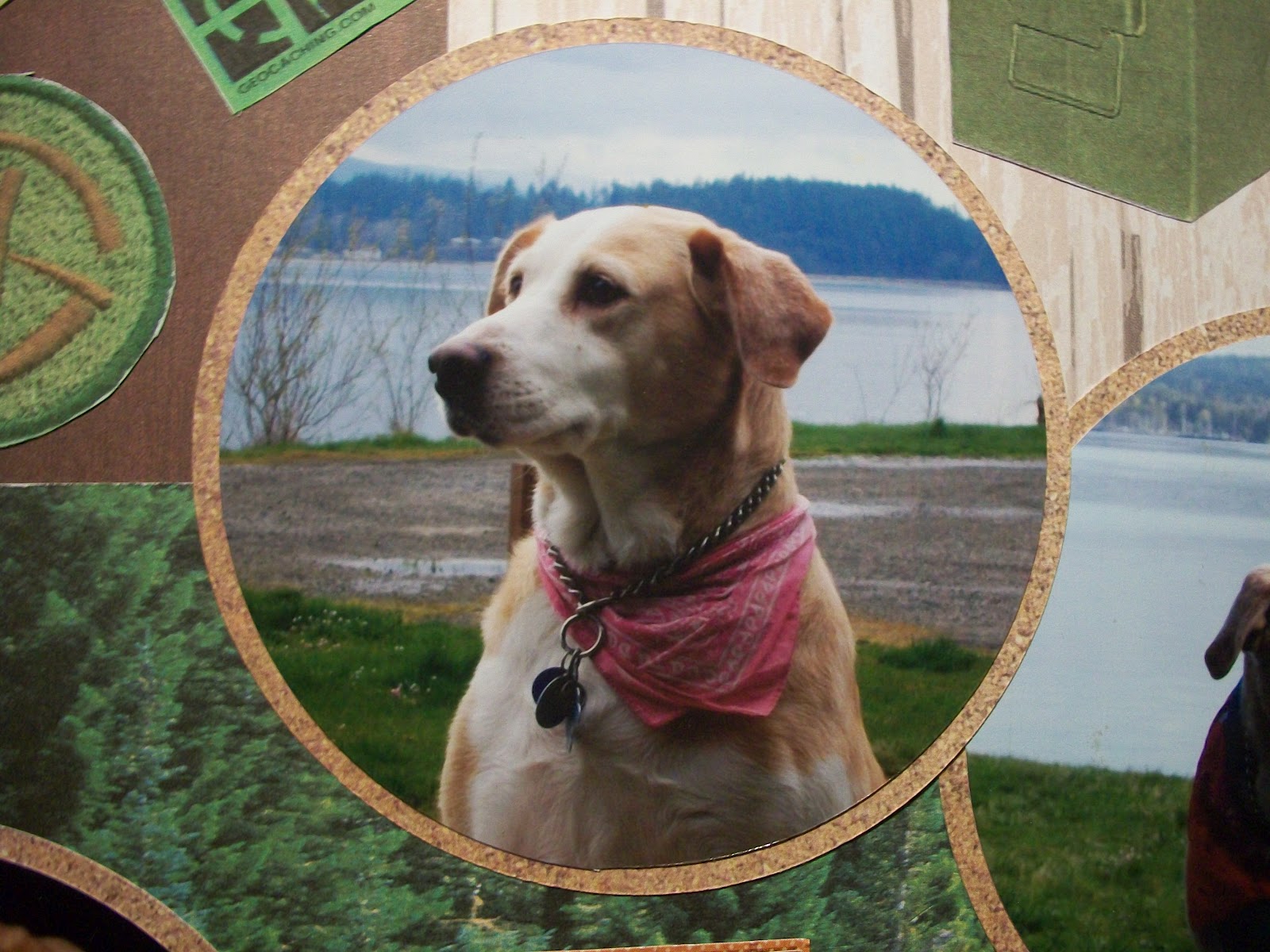 Jan's Things: Scrapbooking, Geocaching & our dog, Britt