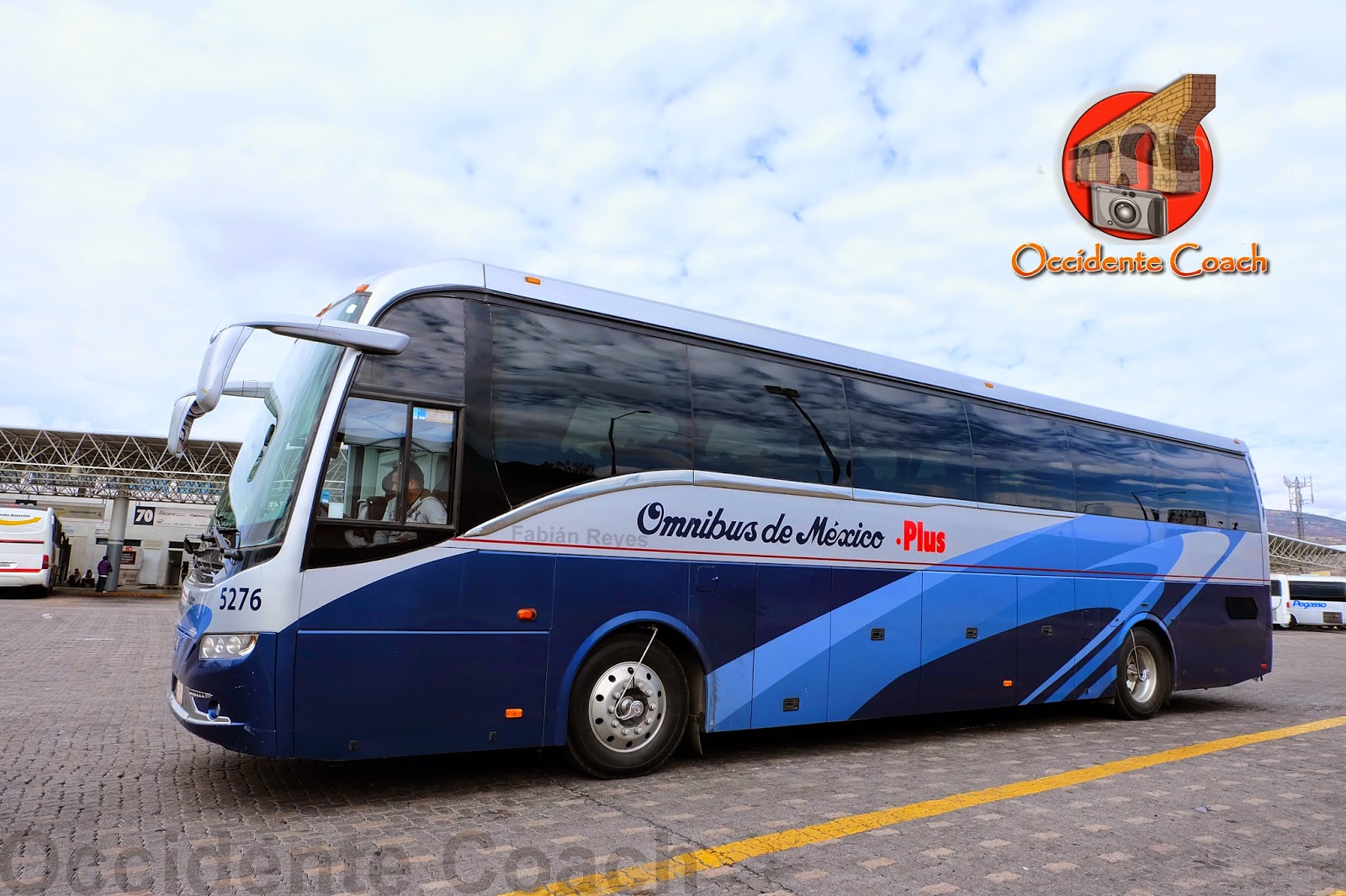 Occidente Coach: OdM plus